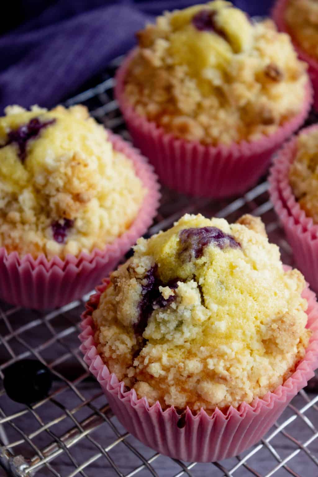 Starbucks Copycat Blueberry Muffins • FoodnService