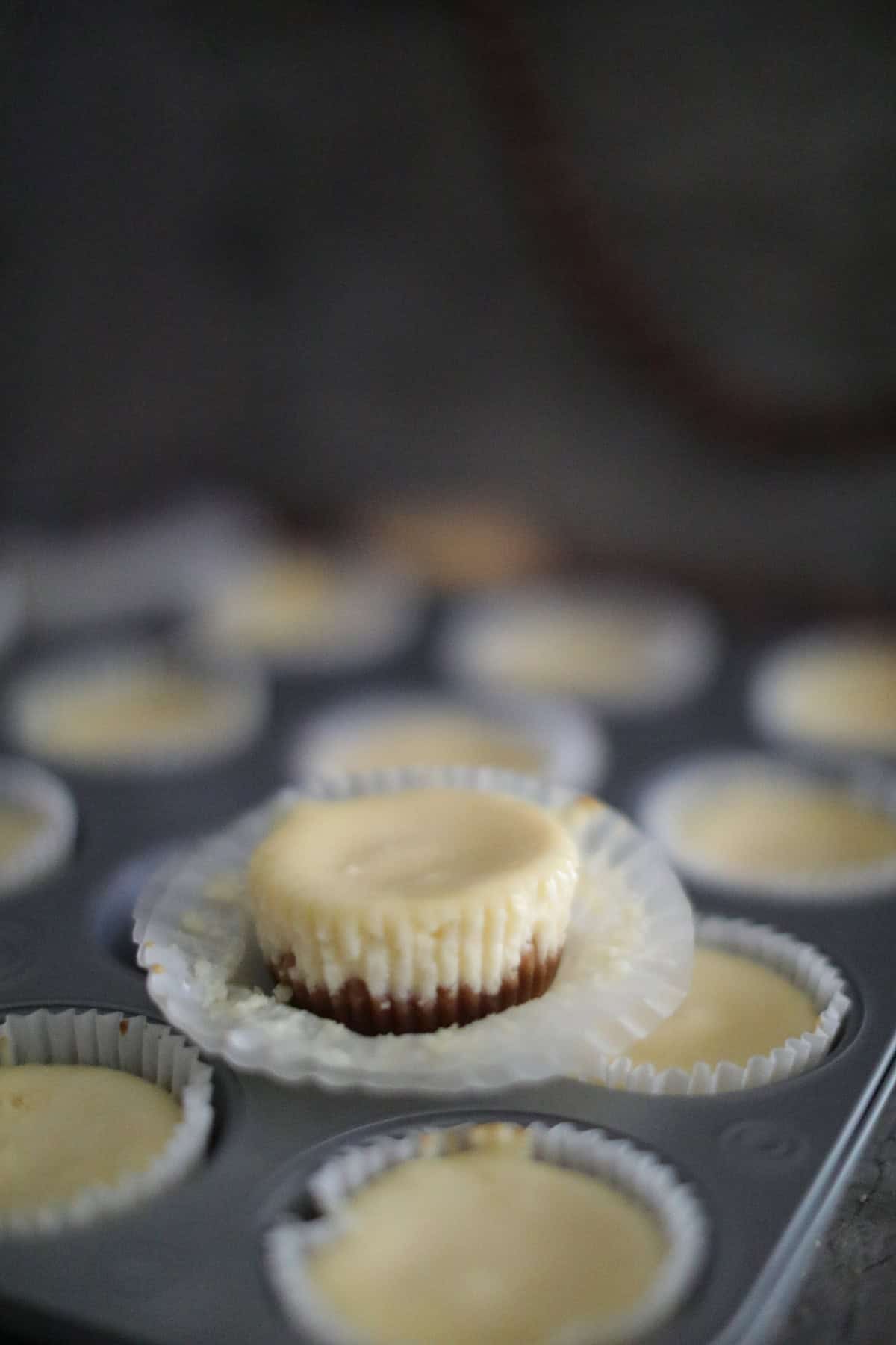 Mini Cheesecake Recipe • FoodnService